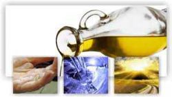 The Most Holy Anointing Oil - Bible Truths Revealed